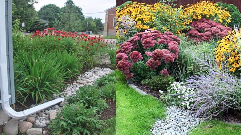 Transforming My Yard: How the Rain Ready Program is Helping Protect Our ...