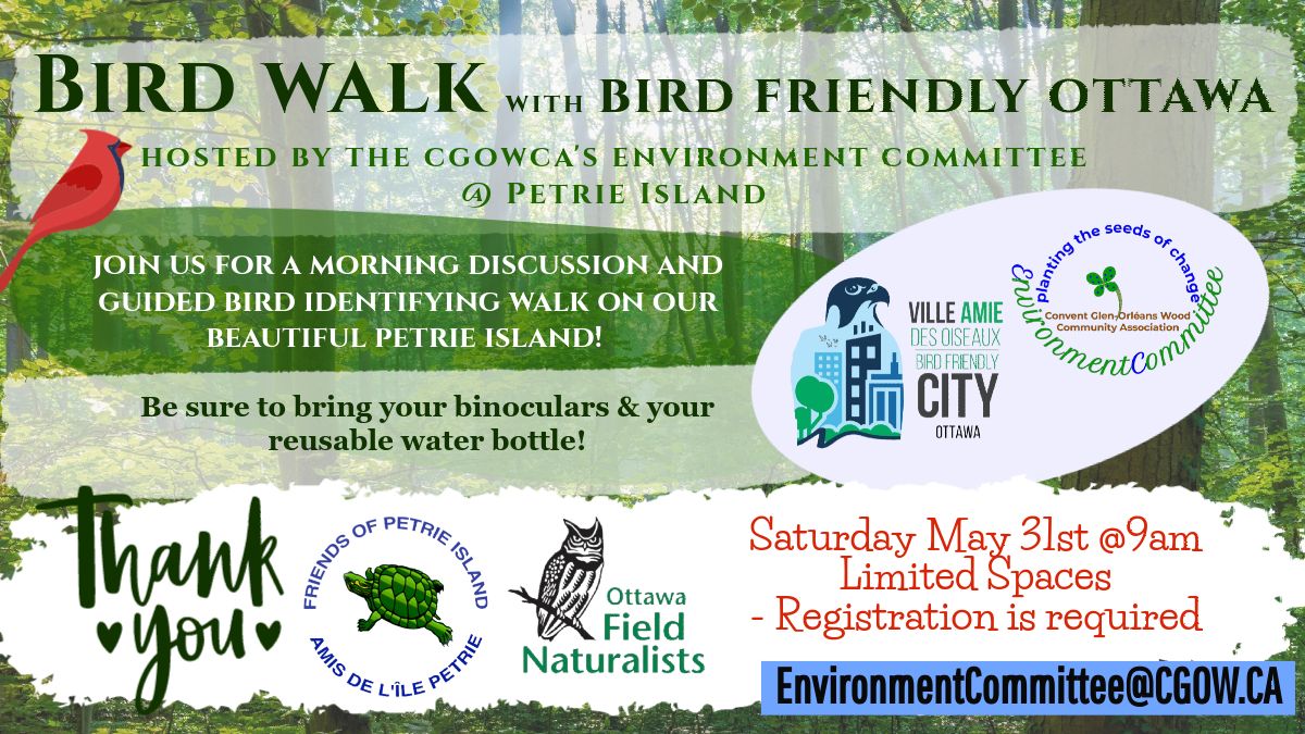 Bird Walk with Bird Friendly Ottawa - Convent Glen Orléans Wood